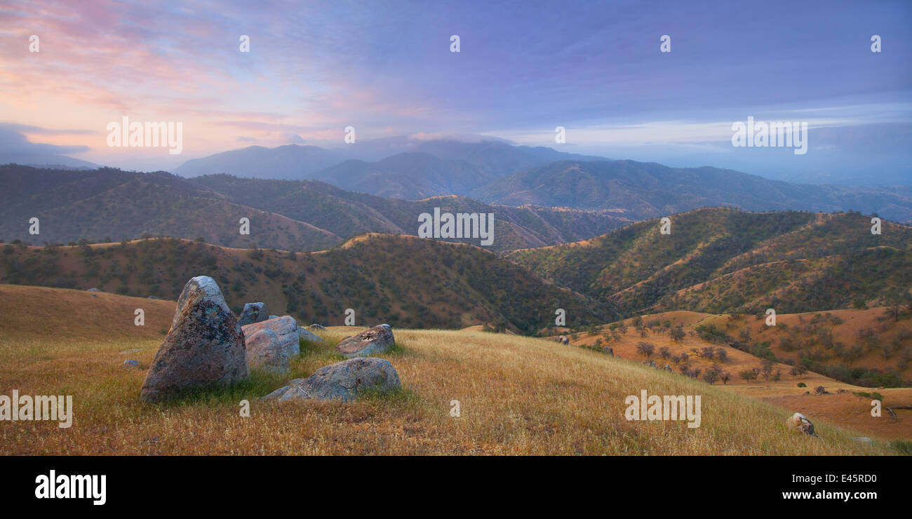 Tehachapi mountains at sunrise, with rolling golden hills and oak trees ...