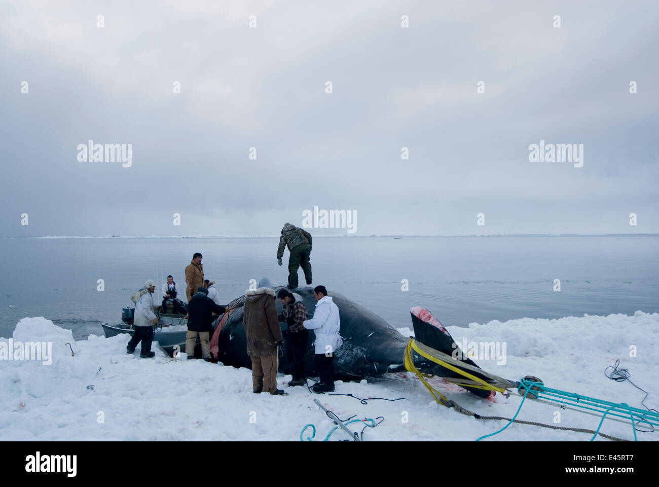 Residents from the Inupiaq arctic village of Barrow along with ...