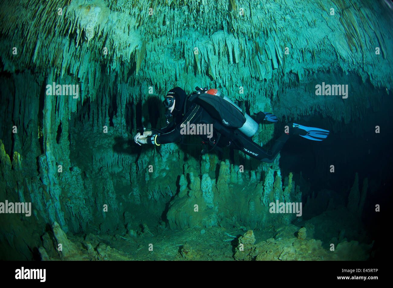 Diver exploring 'Sistema Carwash' a freshwater Limestone sinkhole ...