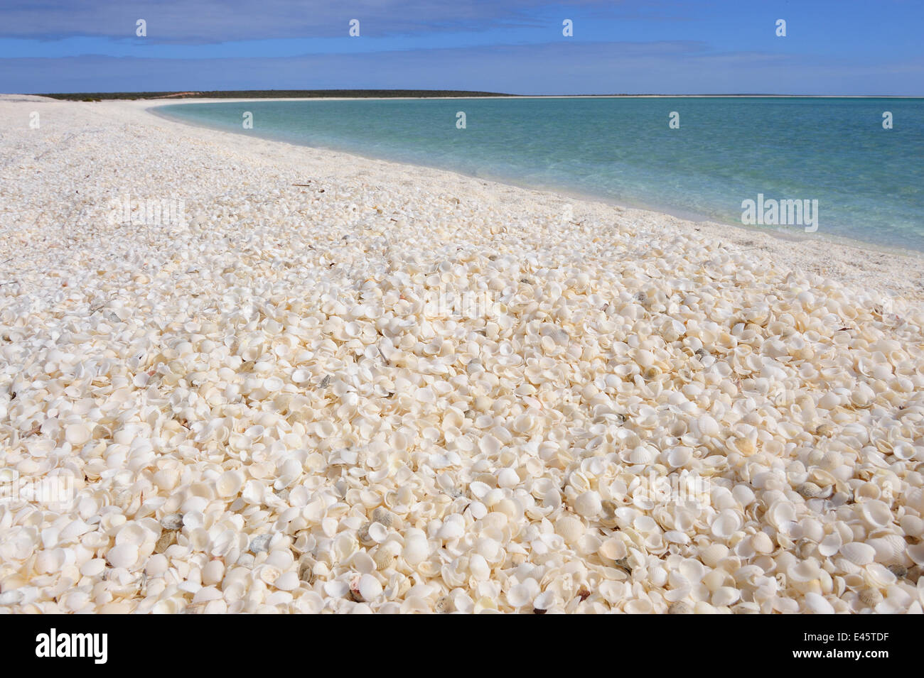 View of Shell Beach, a unique beach of tiny white shells, up to 10 ...