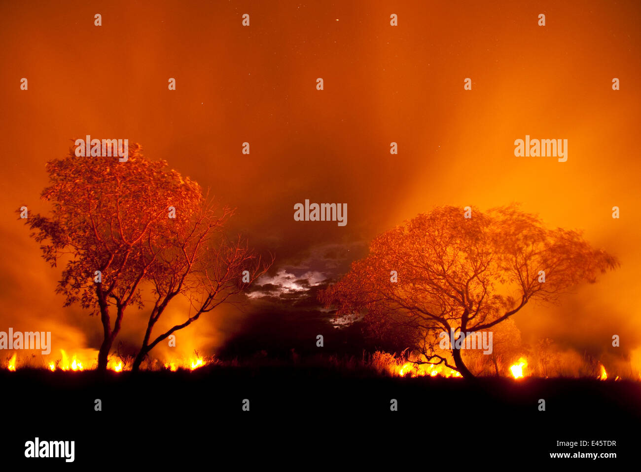 Grass fire at night in Pantanal, Brazil Stock Photo - Alamy