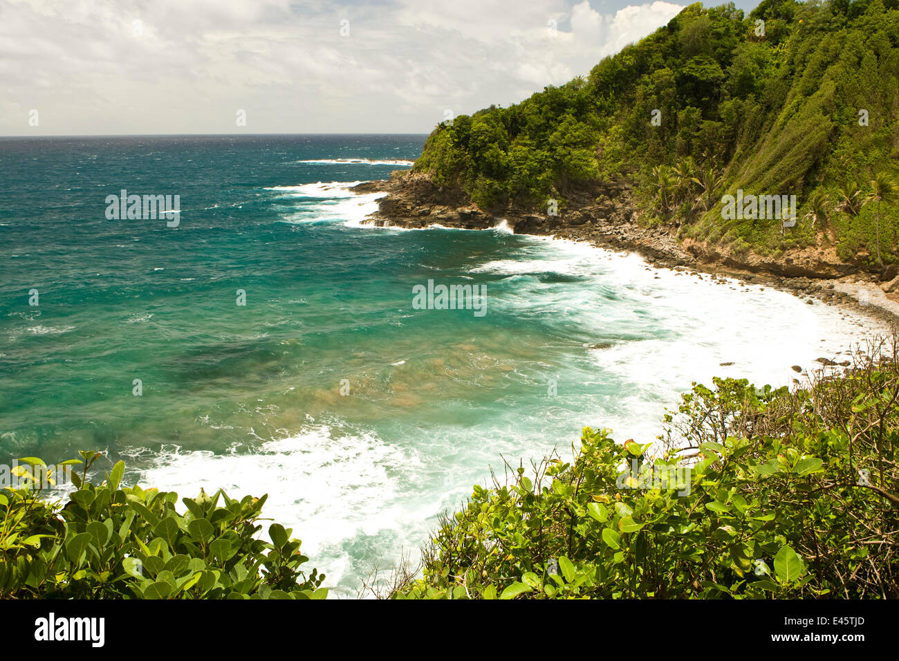 Kalinago hi-res stock photography and images - Alamy