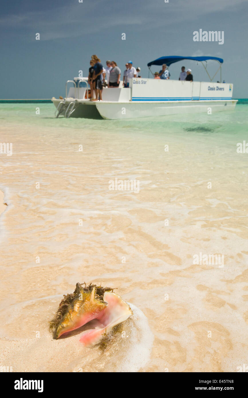 Conch divers hi-res stock photography and images - Alamy