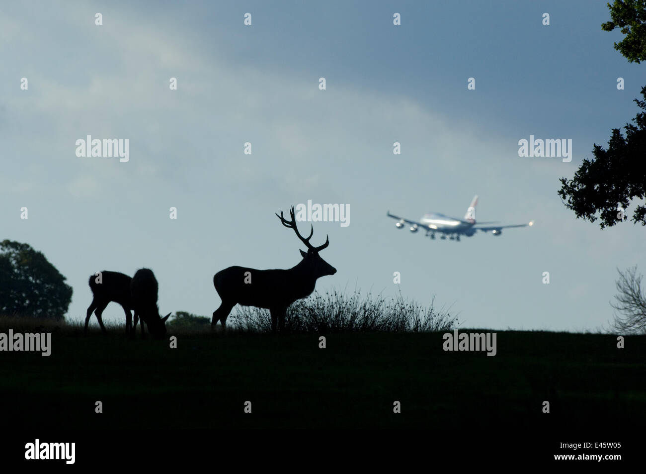 Even airplanes hi-res stock photography and images - Alamy