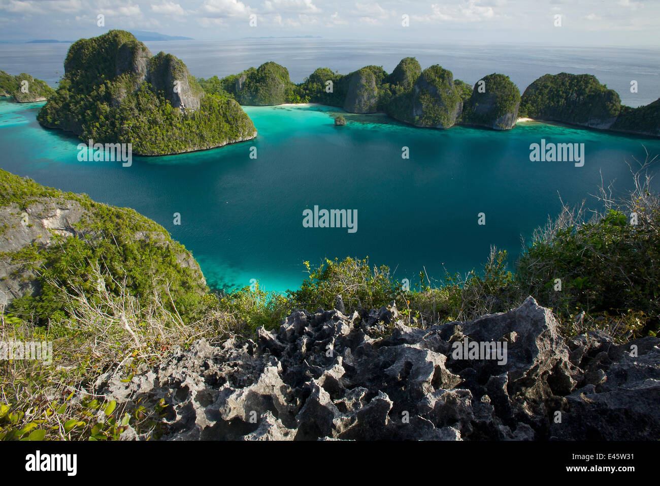 Aerial view of the Wayag Islands, an uninhabited group of uplifted ...