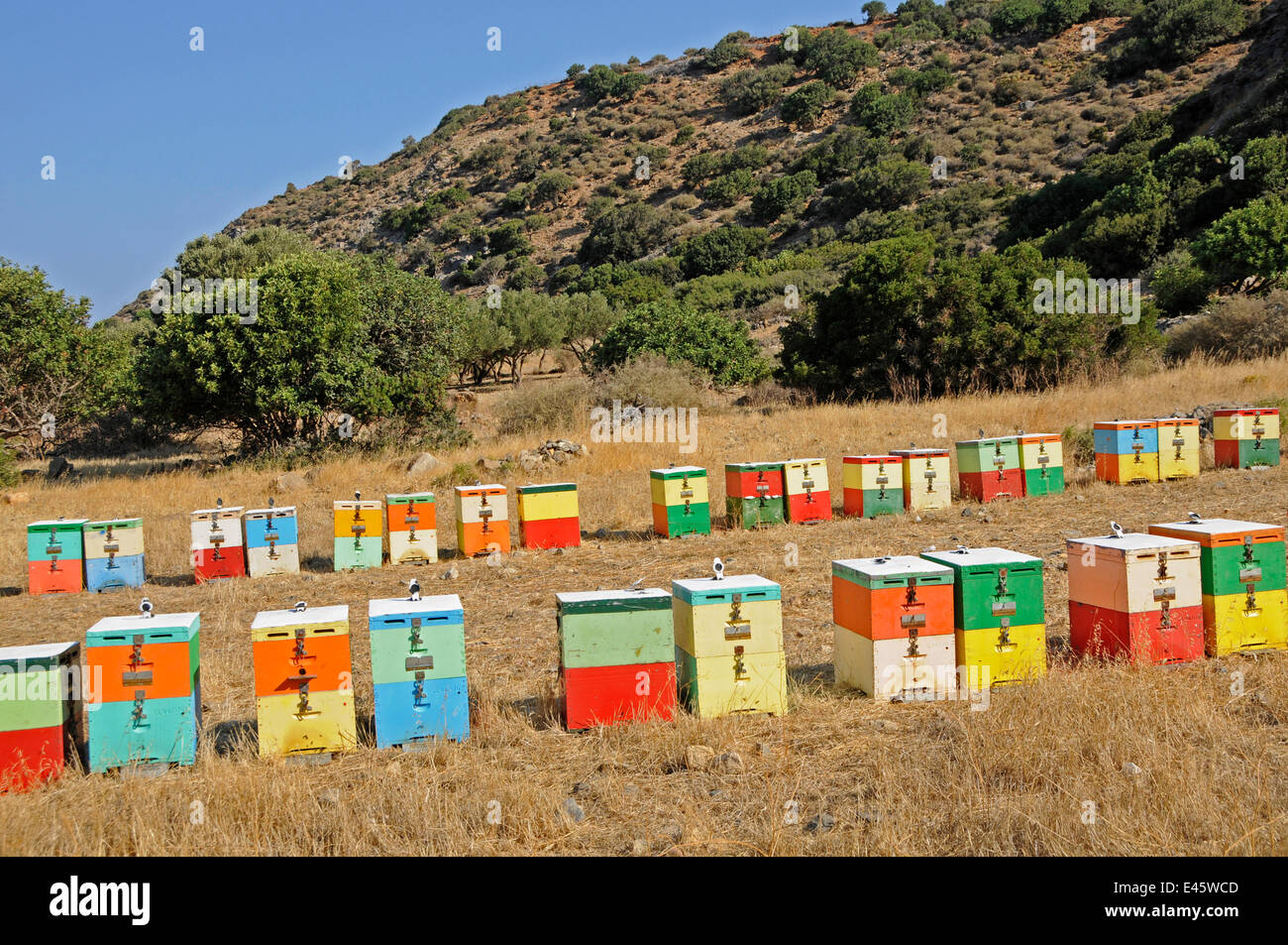 Bee hives hi-res stock photography and images - Alamy