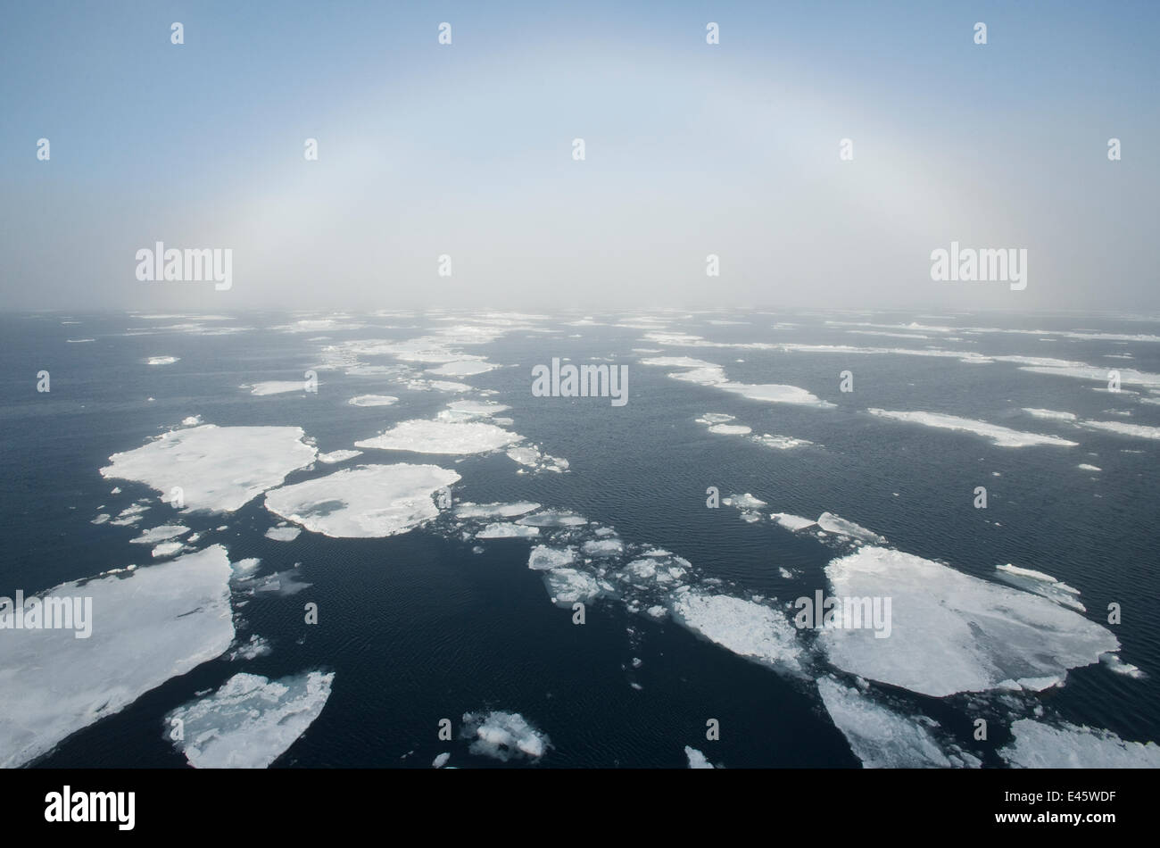 Fogbow over pack ice, Svalbard, Arctic Norway 2010 Stock Photo - Alamy