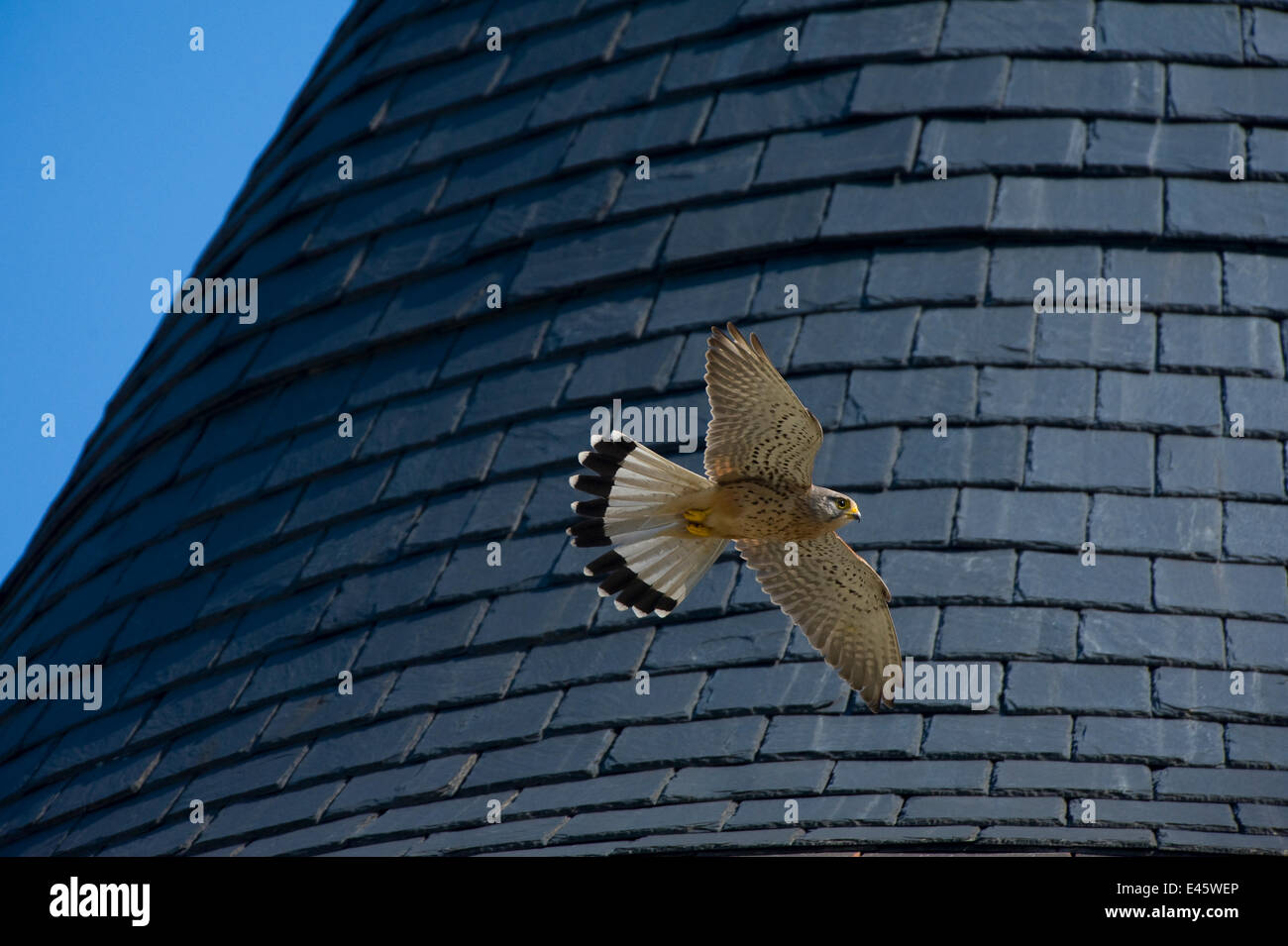 Man made flight hi-res stock photography and images - Alamy