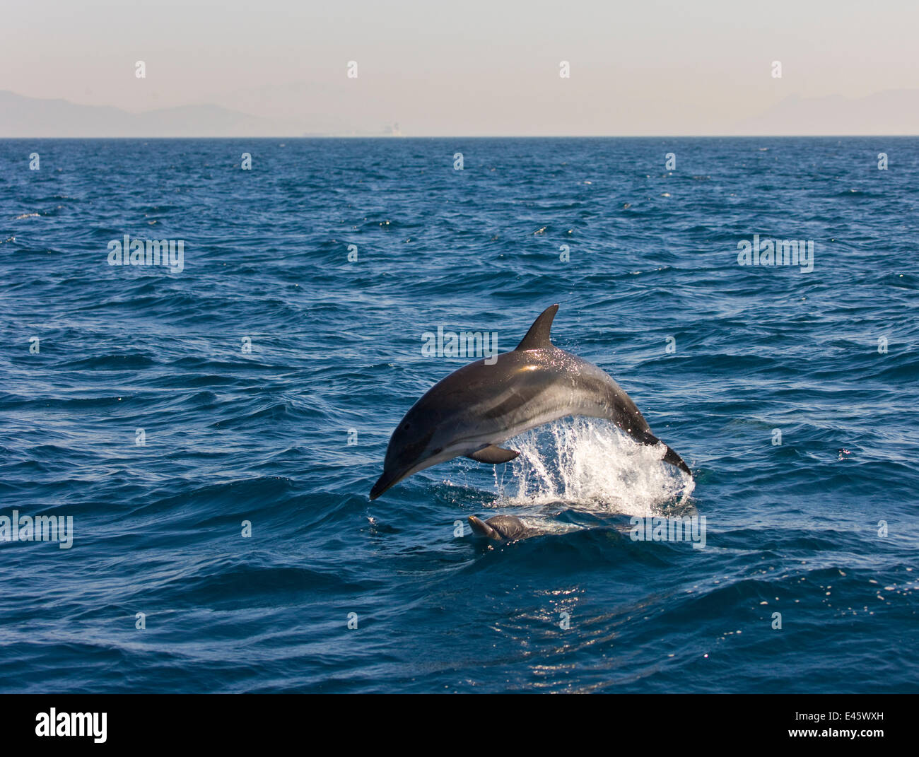 Parque natural del estrecho hi-res stock photography and images - Alamy