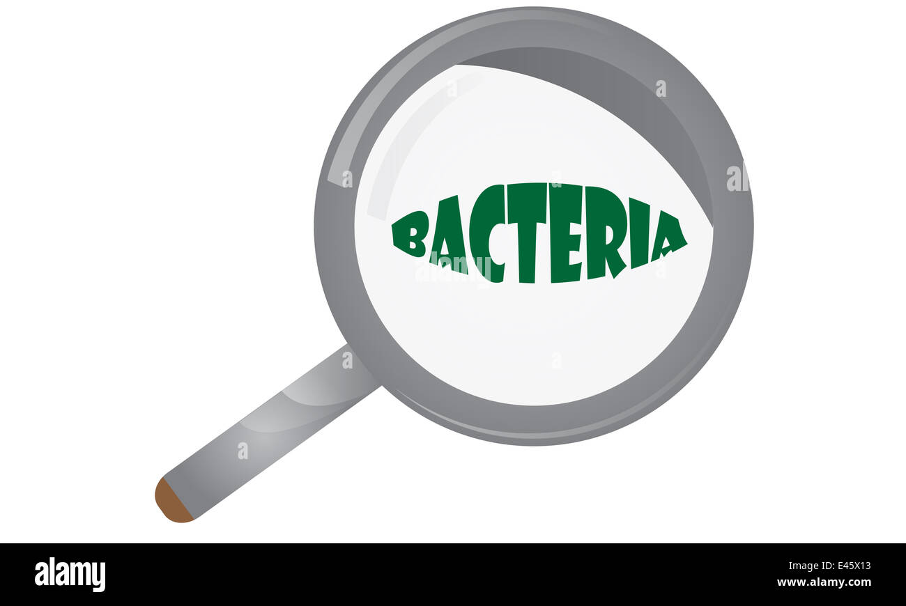 Bacteria Magnifying Glass Stock Photo - Alamy