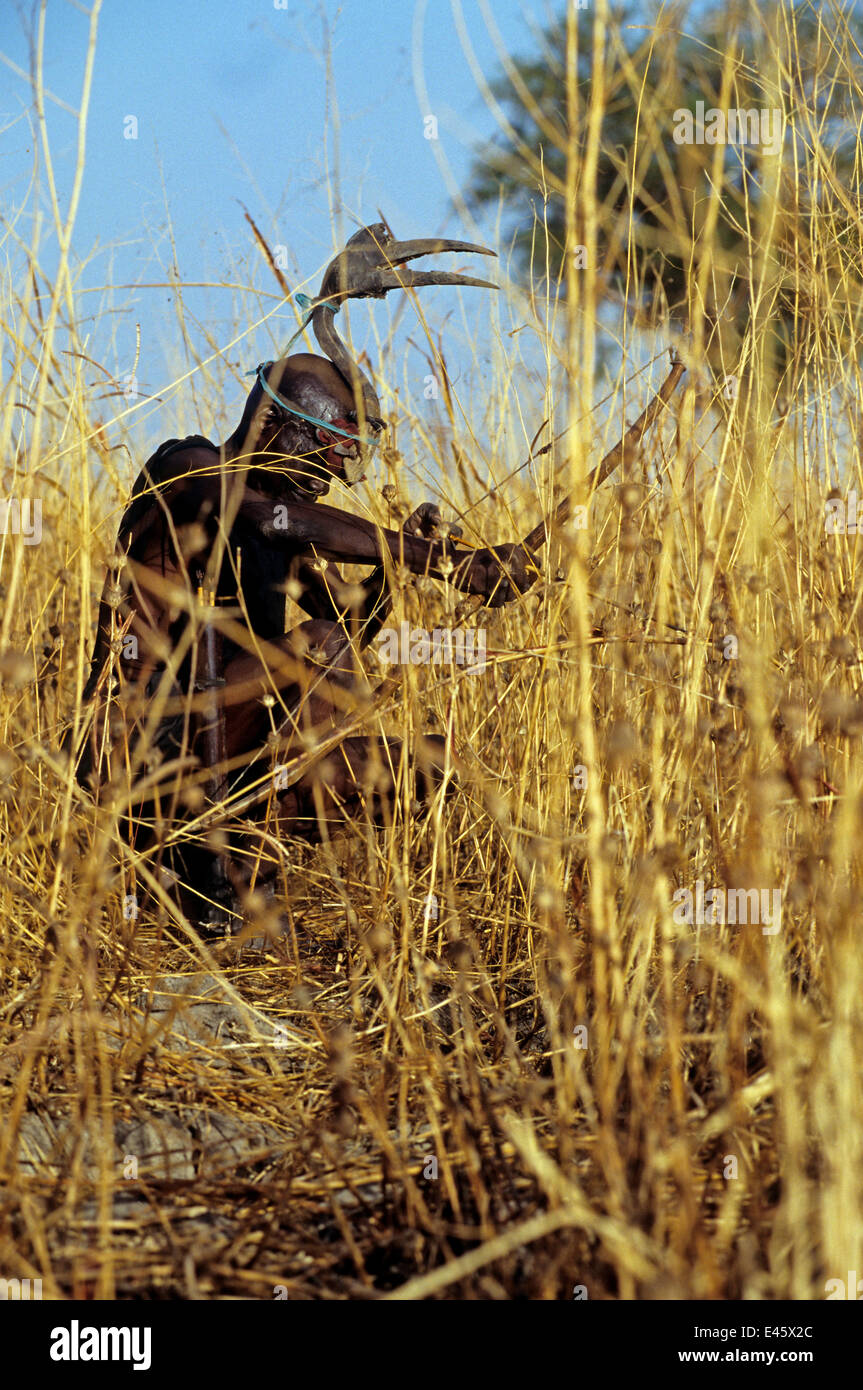 Traditional bush hunter with a calao / Hornbill head decoration ...