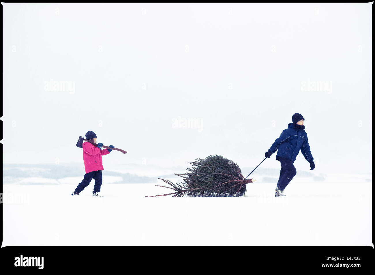 Child dragging tree High Resolution Stock Photography and Images - Alamy
