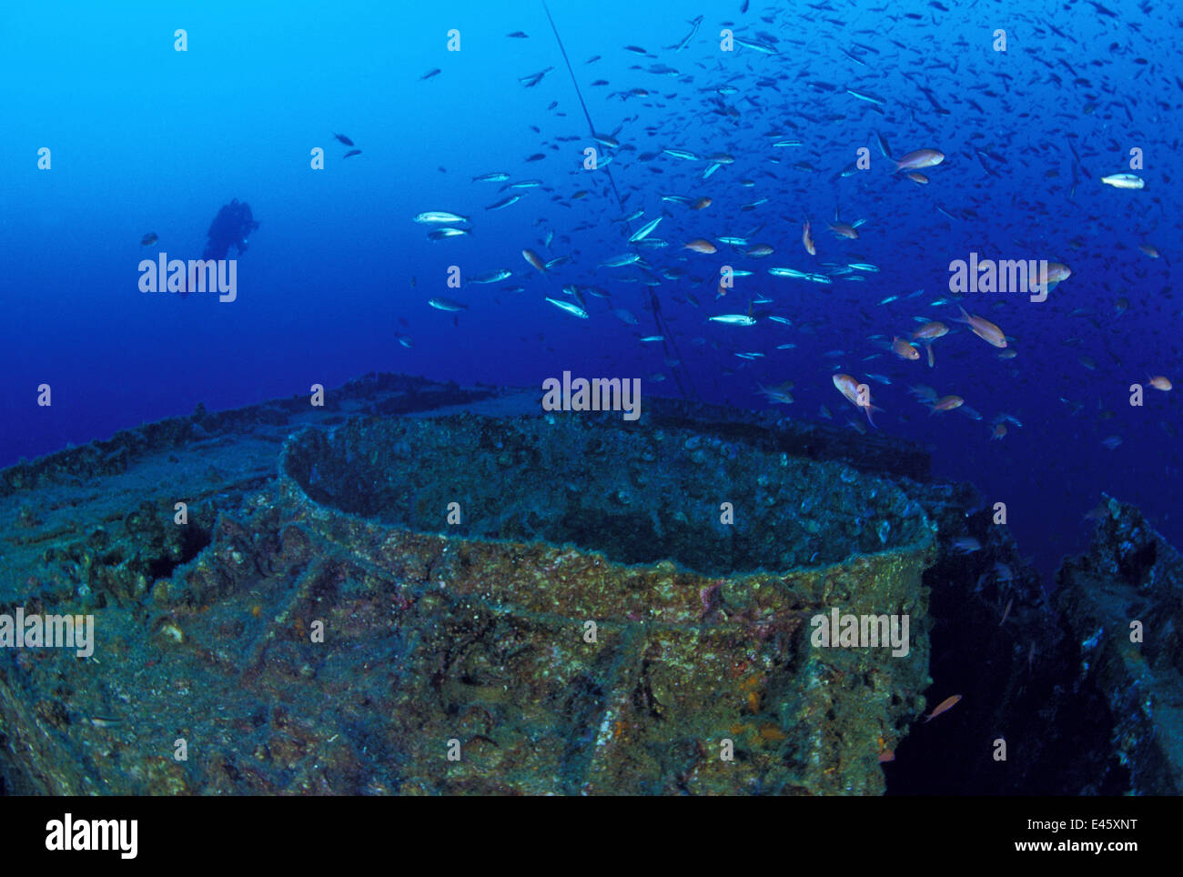 Diver exploring funnel of wrecked crude oil super-tanker "Amoco Milford ...