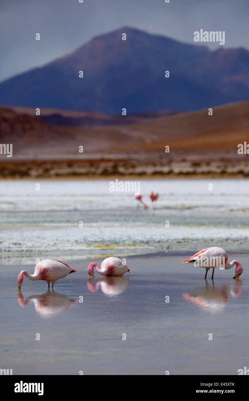 Remote region hi-res stock photography and images - Alamy