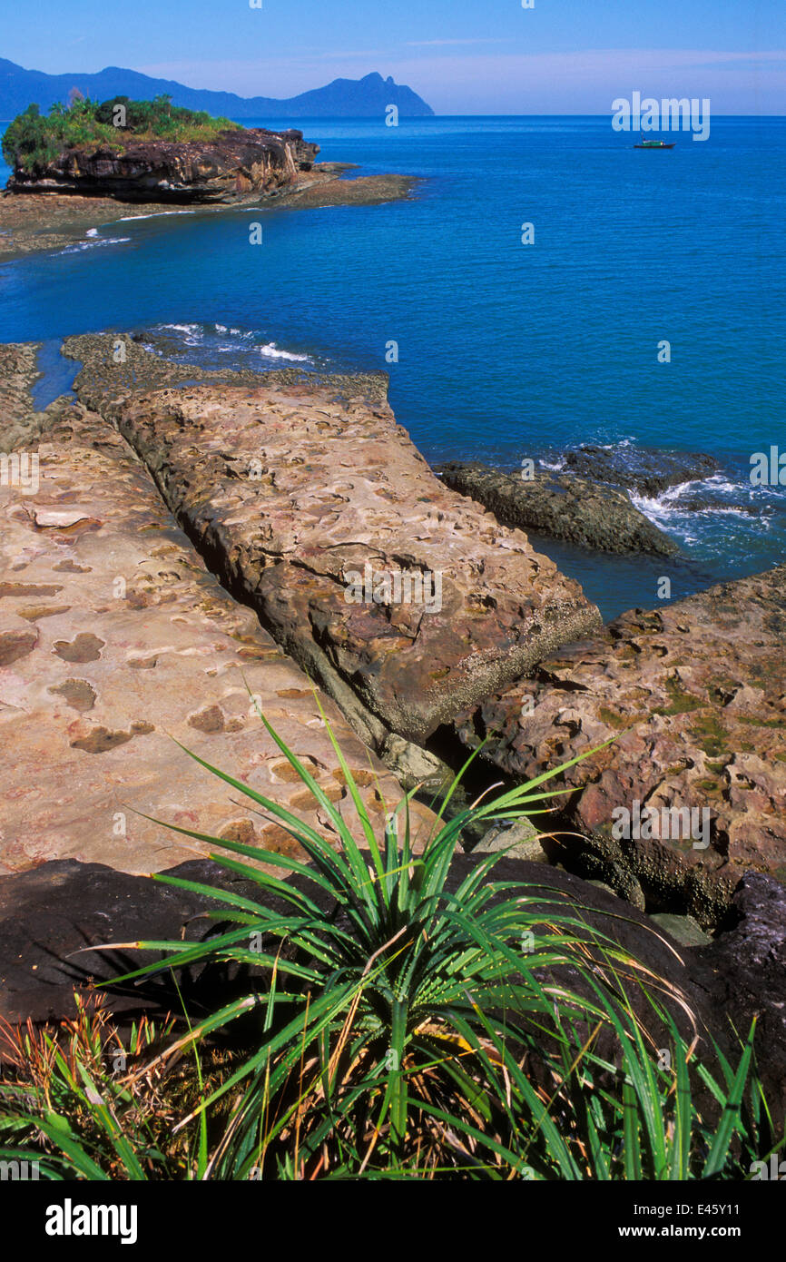 Coastal rock formations, Bako NP, Borneo, Sarawak, Malaysia Stock Photo ...