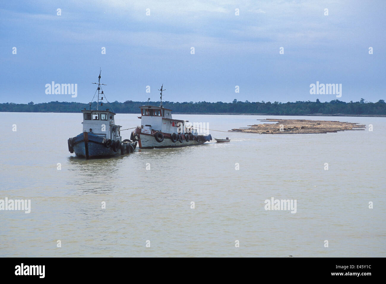 Logged forest malaysia hi-res stock photography and images - Alamy