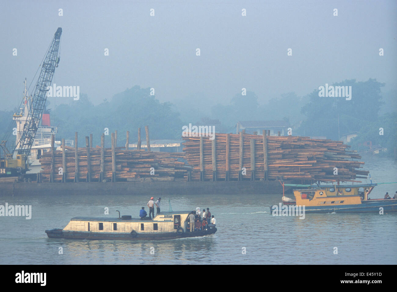 Timber stacked ready for transportation, logging in central Borneo ...