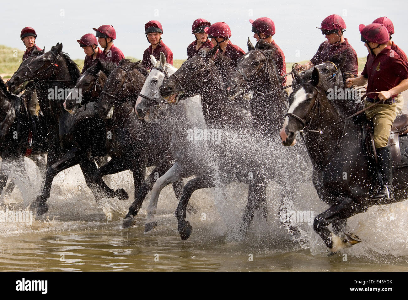 Household Cavalry exercising their horses on Holkham Beach, Norfolk, UK ...