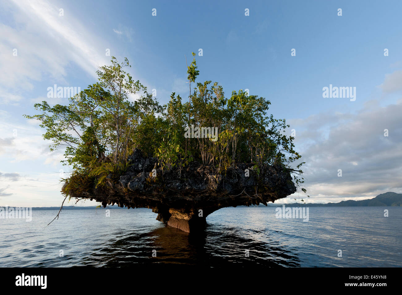 Small, tree-covered islet. This is a karst limestone formation with ...