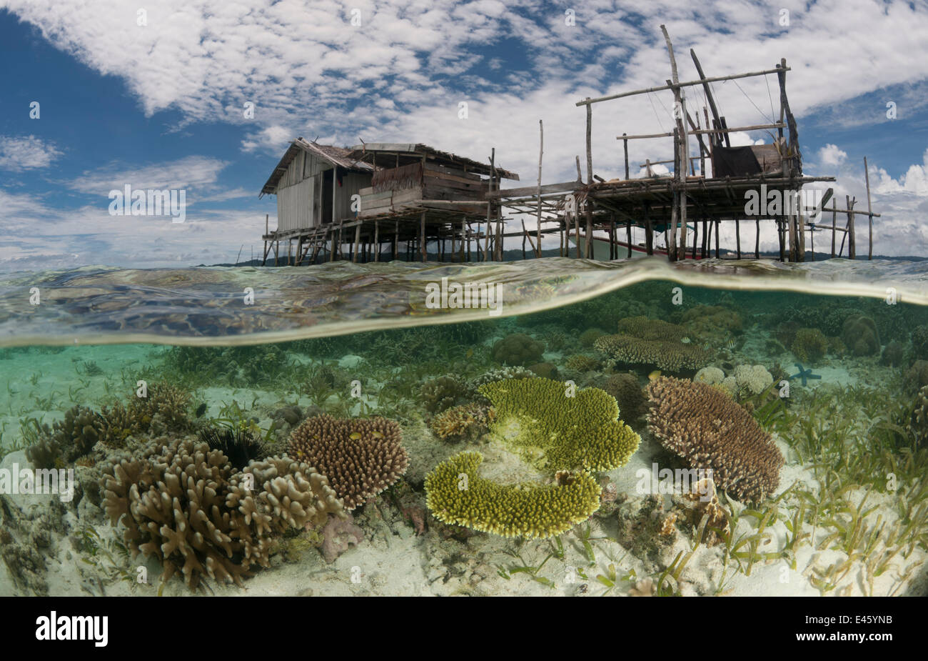 Split-level shot of a shallow coral reef and house on stilts. North ...