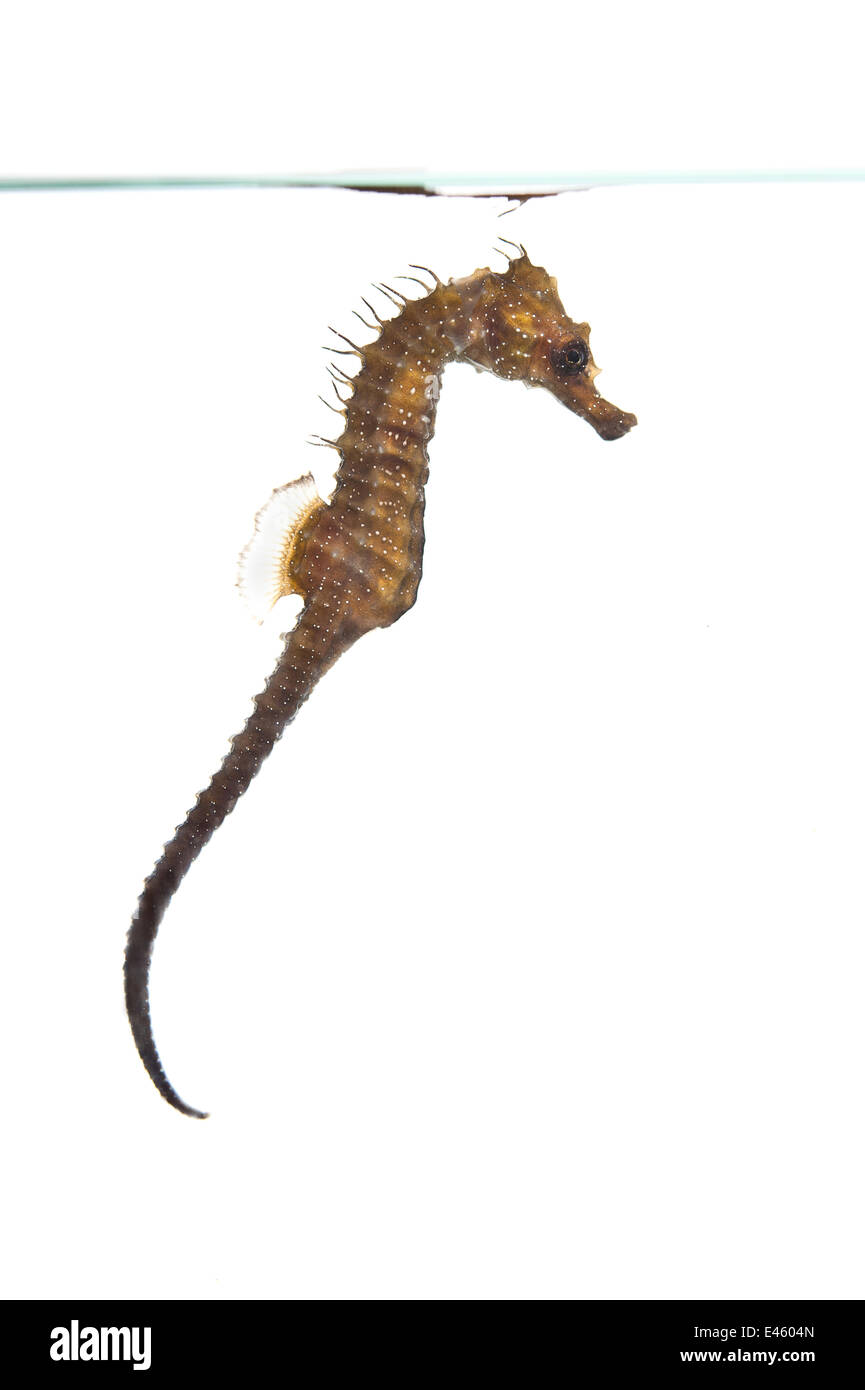 Facility image Cut Out Stock Images & Pictures - Alamy