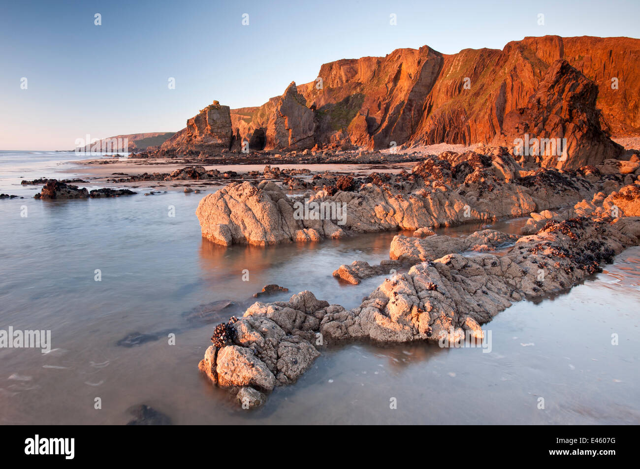 Sandymouth Bay in warm late evening light. North Cornwall, UK, November ...