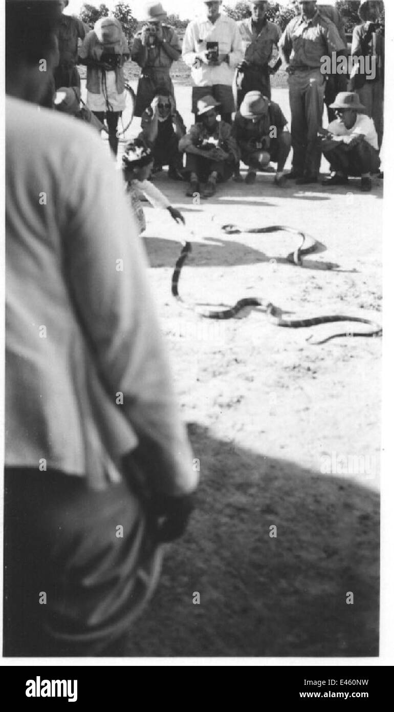 This image highlights Burma Aviation during World War II, showcasing ...