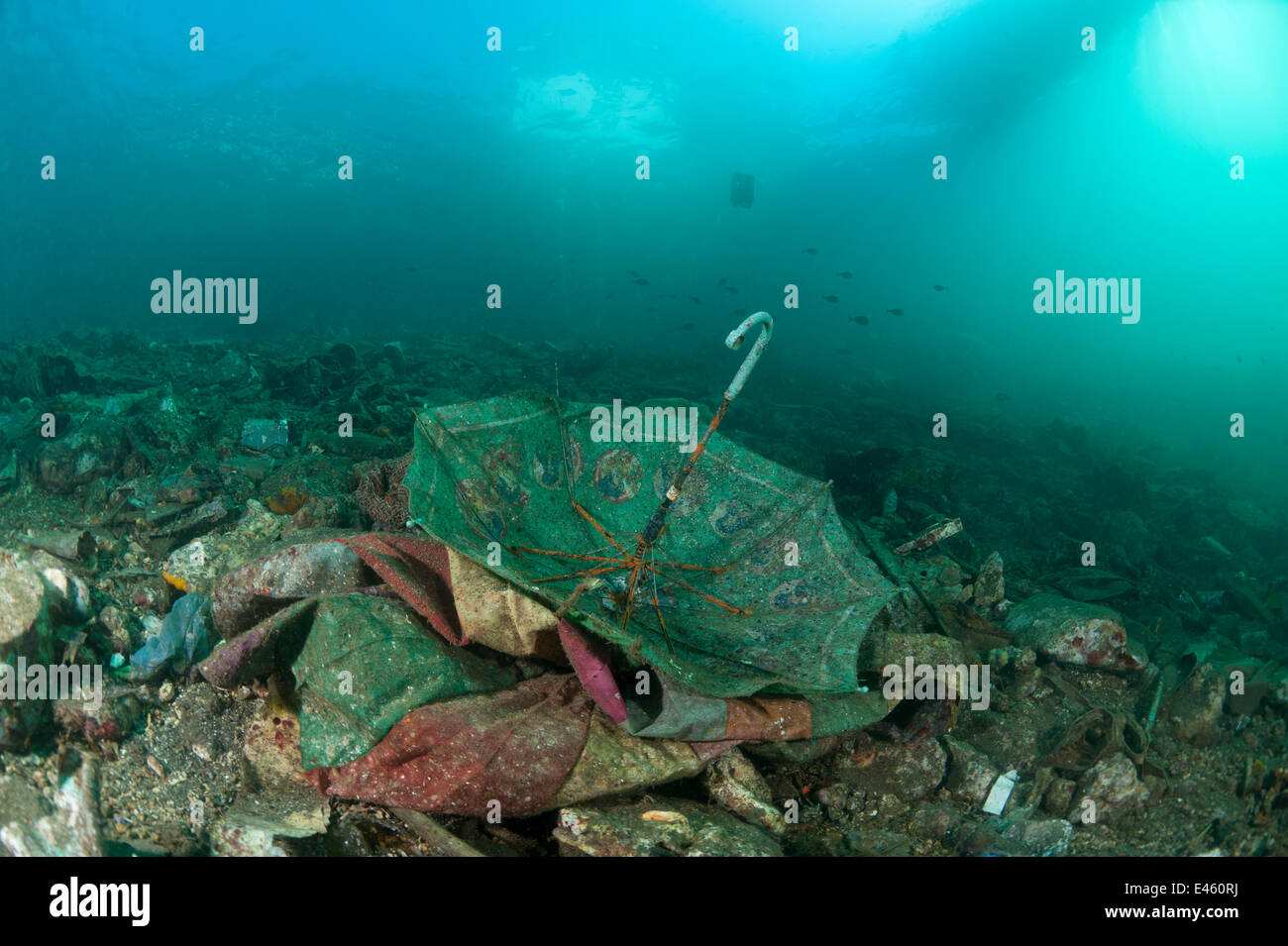 Human waste hi-res stock photography and images - Alamy