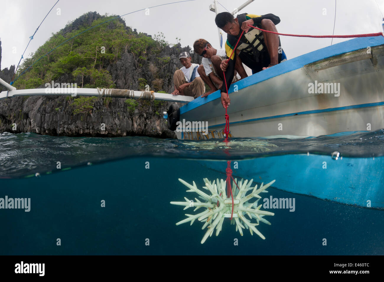 Dead coral reef diver High Resolution Stock Photography and Images - Alamy