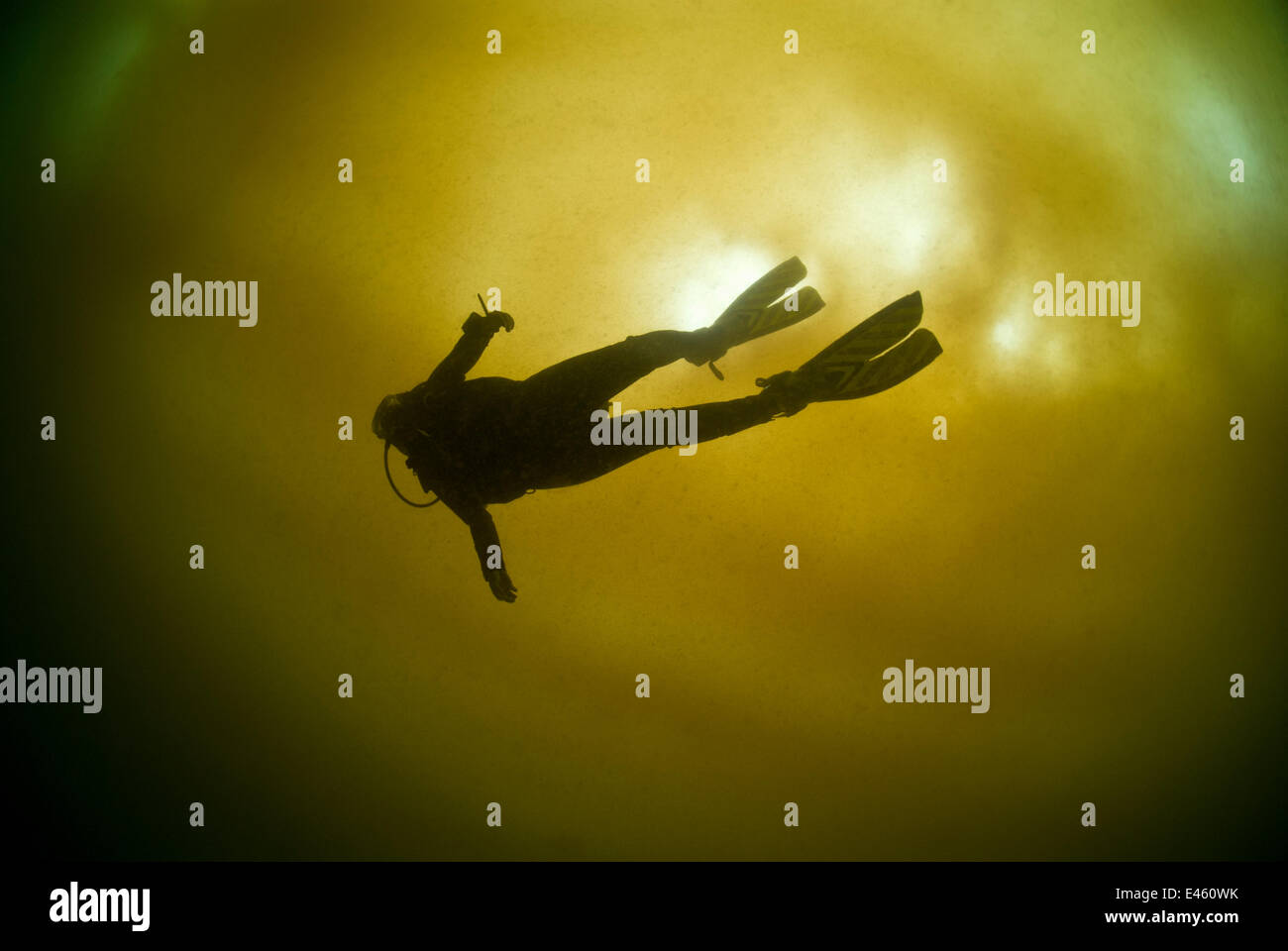 Siltation underwater from a river after the rains with diver, Papua New ...