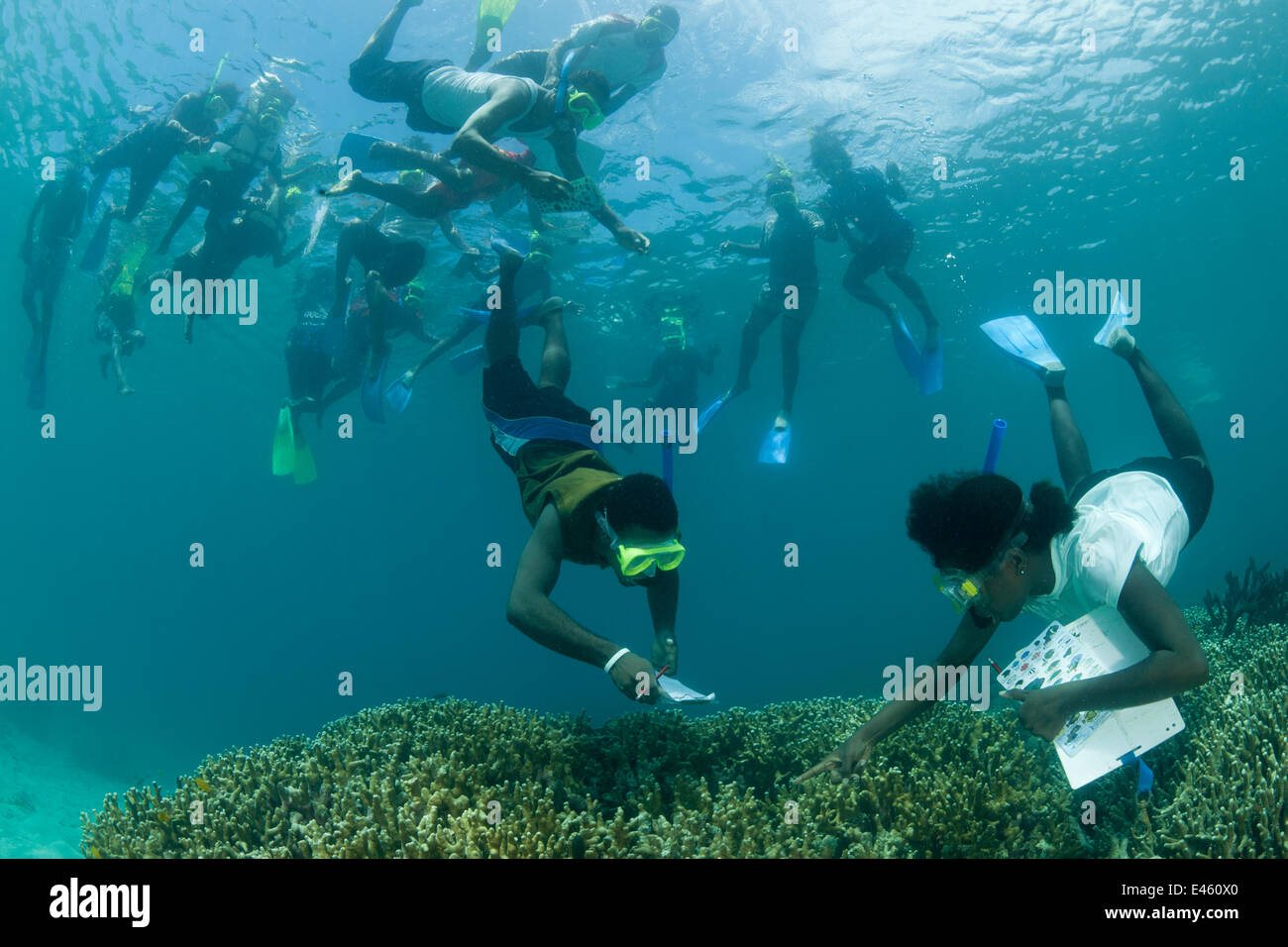 Mahonia Na Dari (Guardian of the Sea) Teacher Lorna Romaso leads a ...