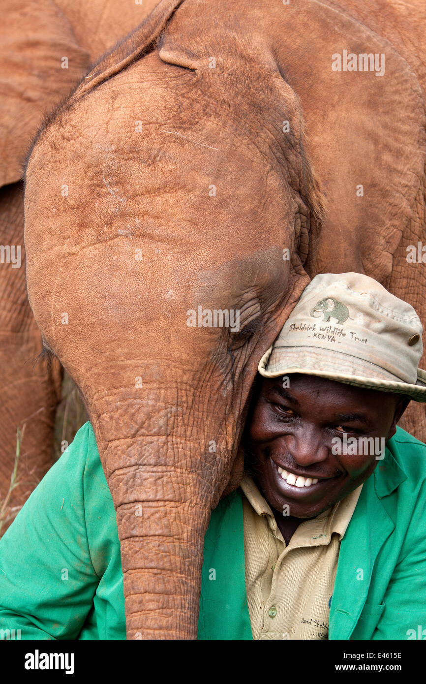 Orphanelephant hi-res stock photography and images - Alamy
