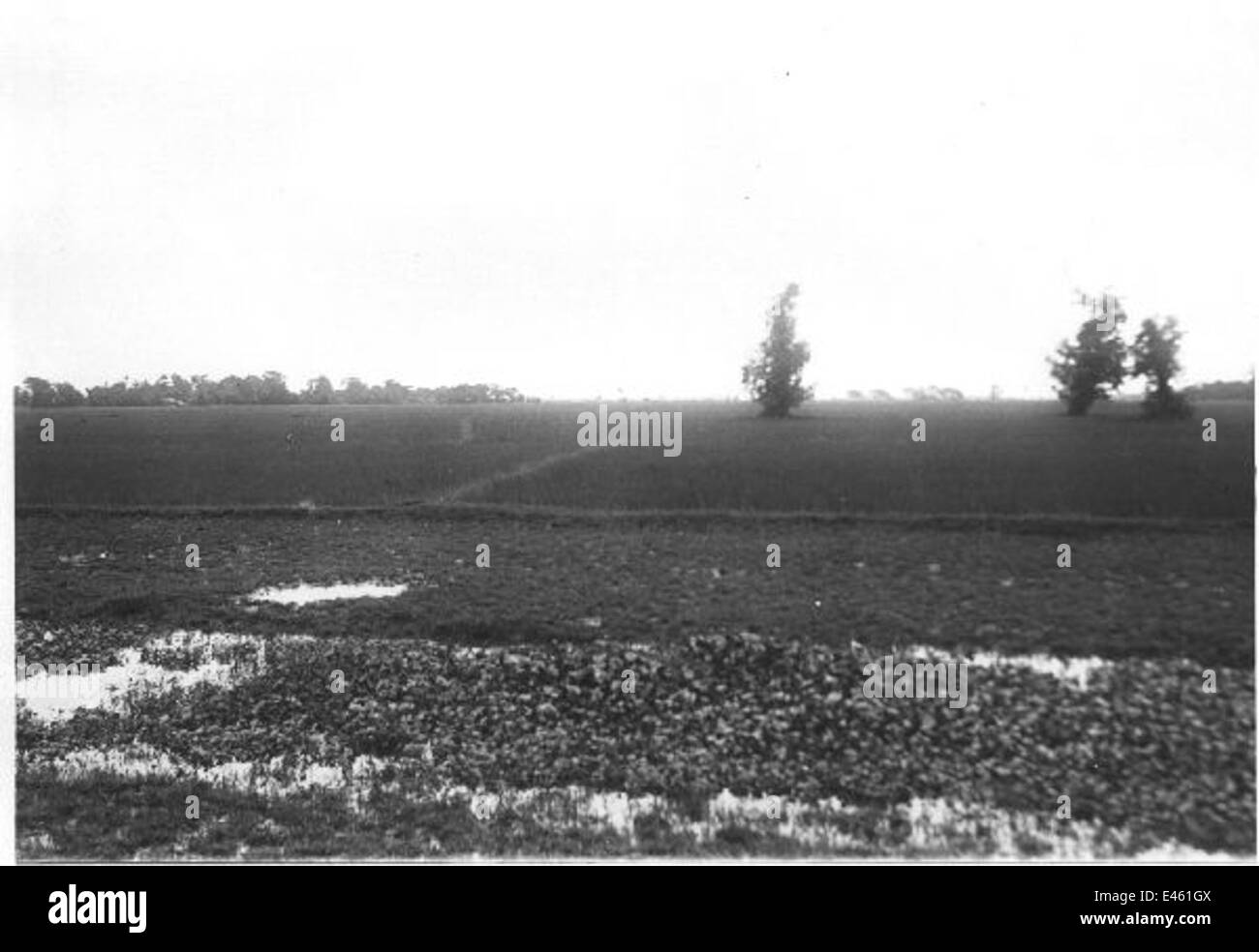 Burma Aviation played a vital role during World War II as part of the ...