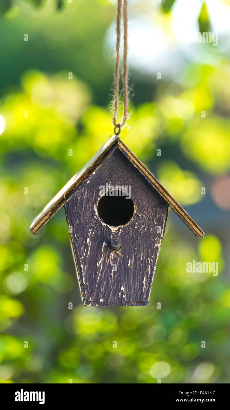 A bird house or bird box in summer or spring sunshine with natural ...