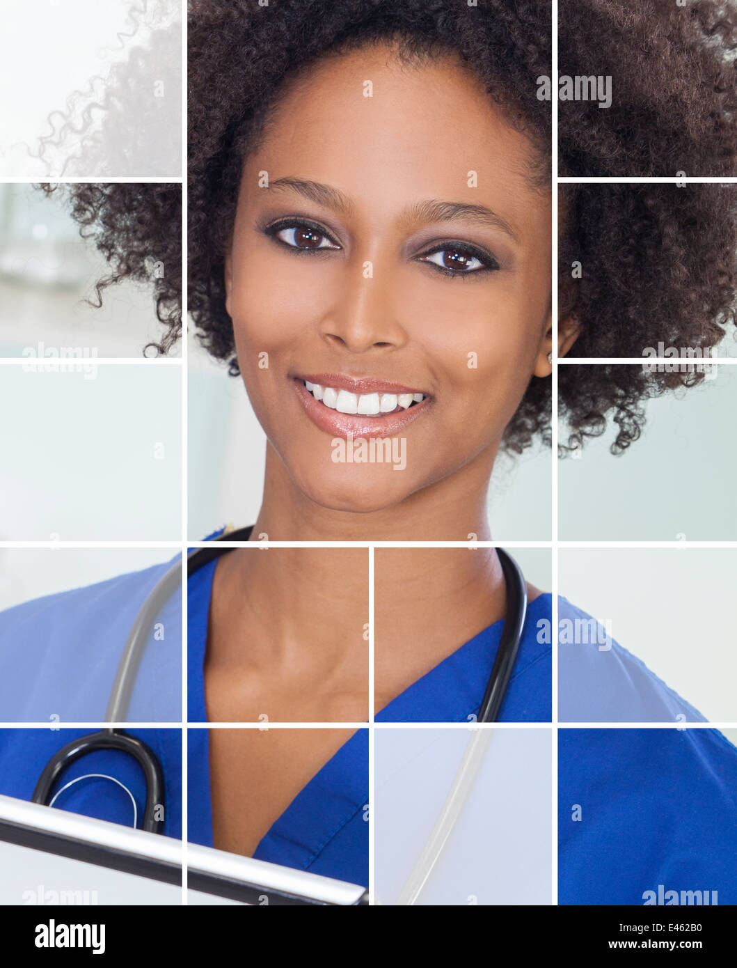 Scientific montage hi-res stock photography and images - Alamy