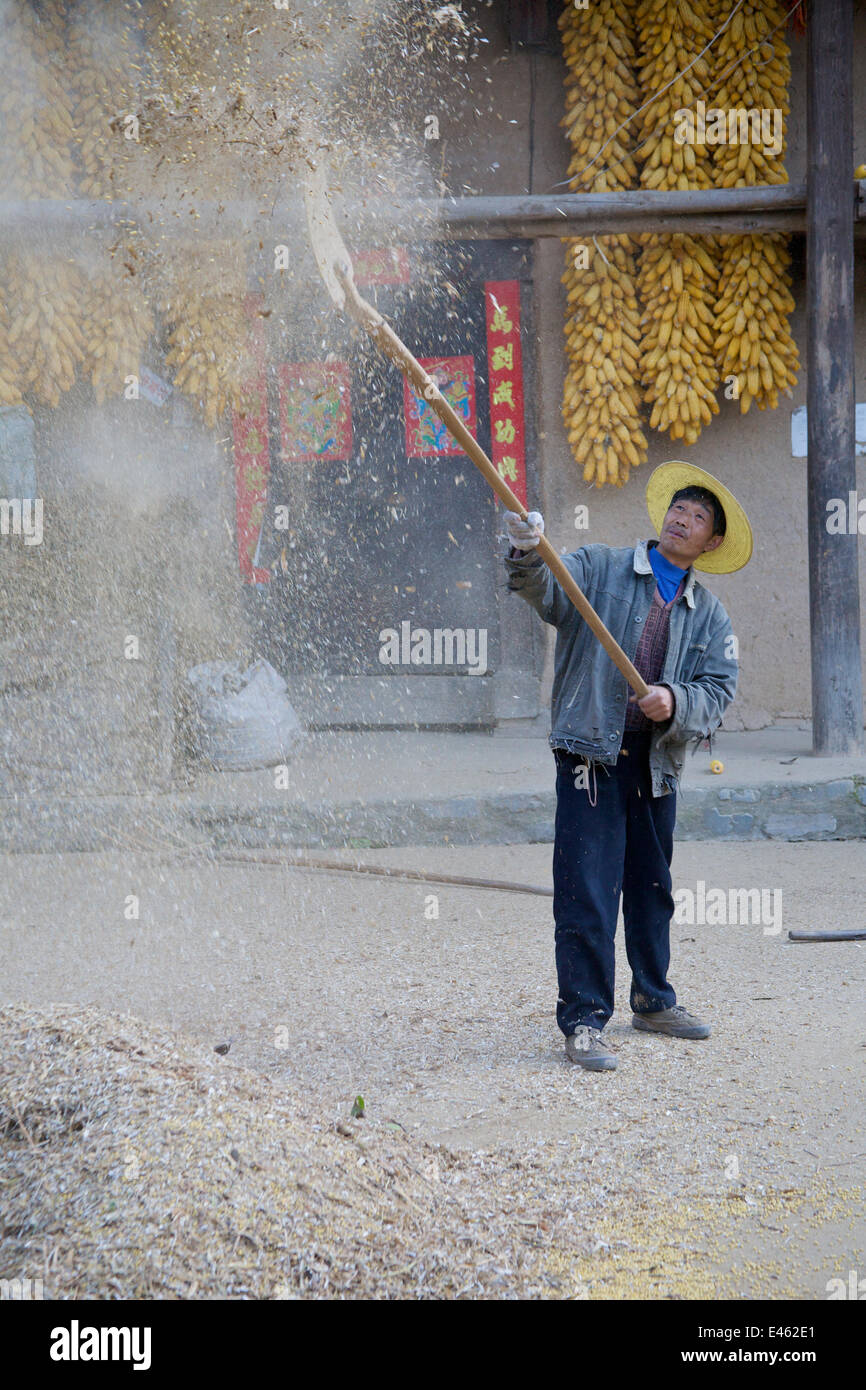 Separating The Chaff High Resolution Stock Photography and Images - Alamy