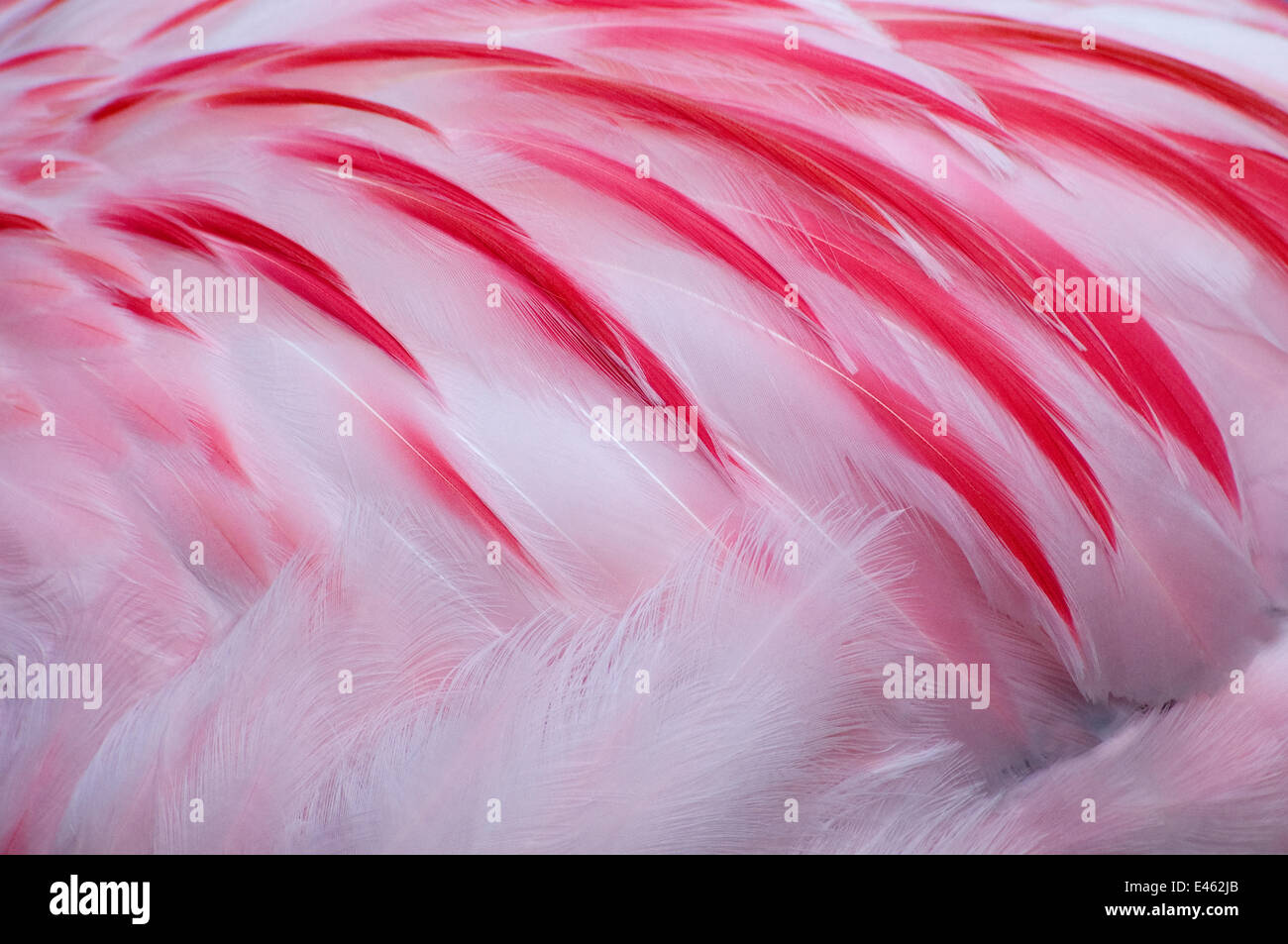 Catalogue4 hi-res stock photography and images - Alamy