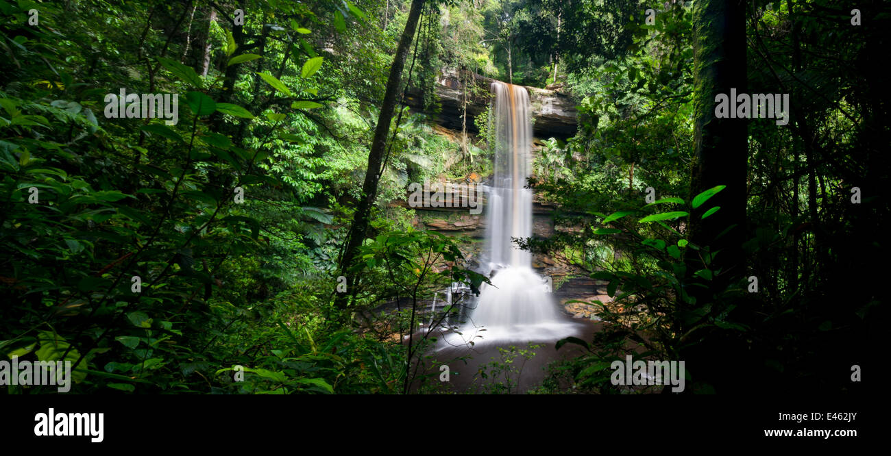 Takob-Akob Falls, Maliau Basin, Sabah's 'Lost World', Borneo Stock ...