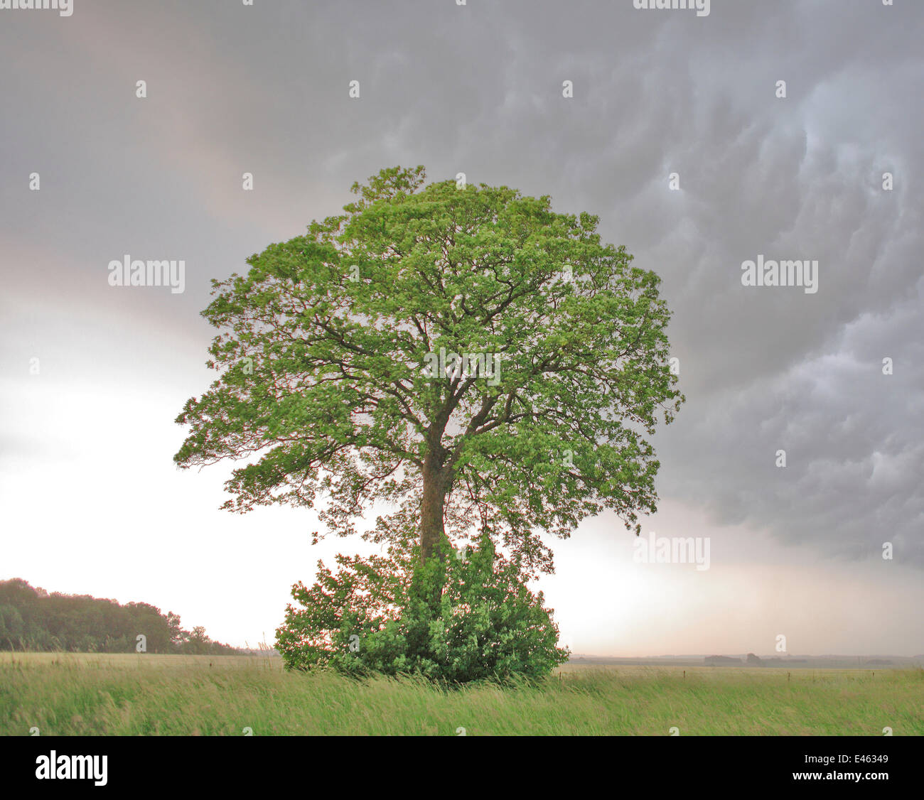 Cumulo nimbus landscape hi-res stock photography and images - Alamy