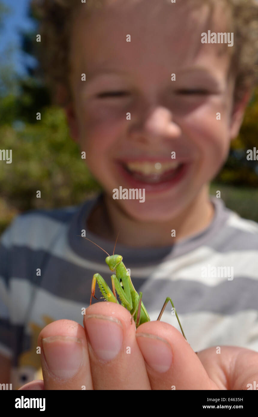 Child holding mantis hi-res stock photography and images - Alamy