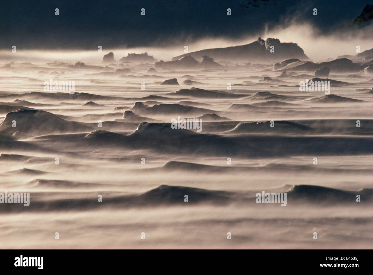 Signy island, antarctica hi-res stock photography and images - Alamy