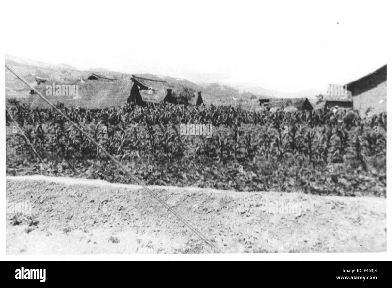 This photo reflects China Aviation during World War II, particularly ...