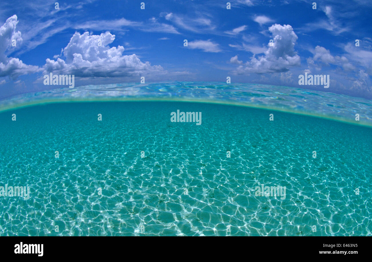 A split level view of shallow water and clouds in summer, Seven Mile ...