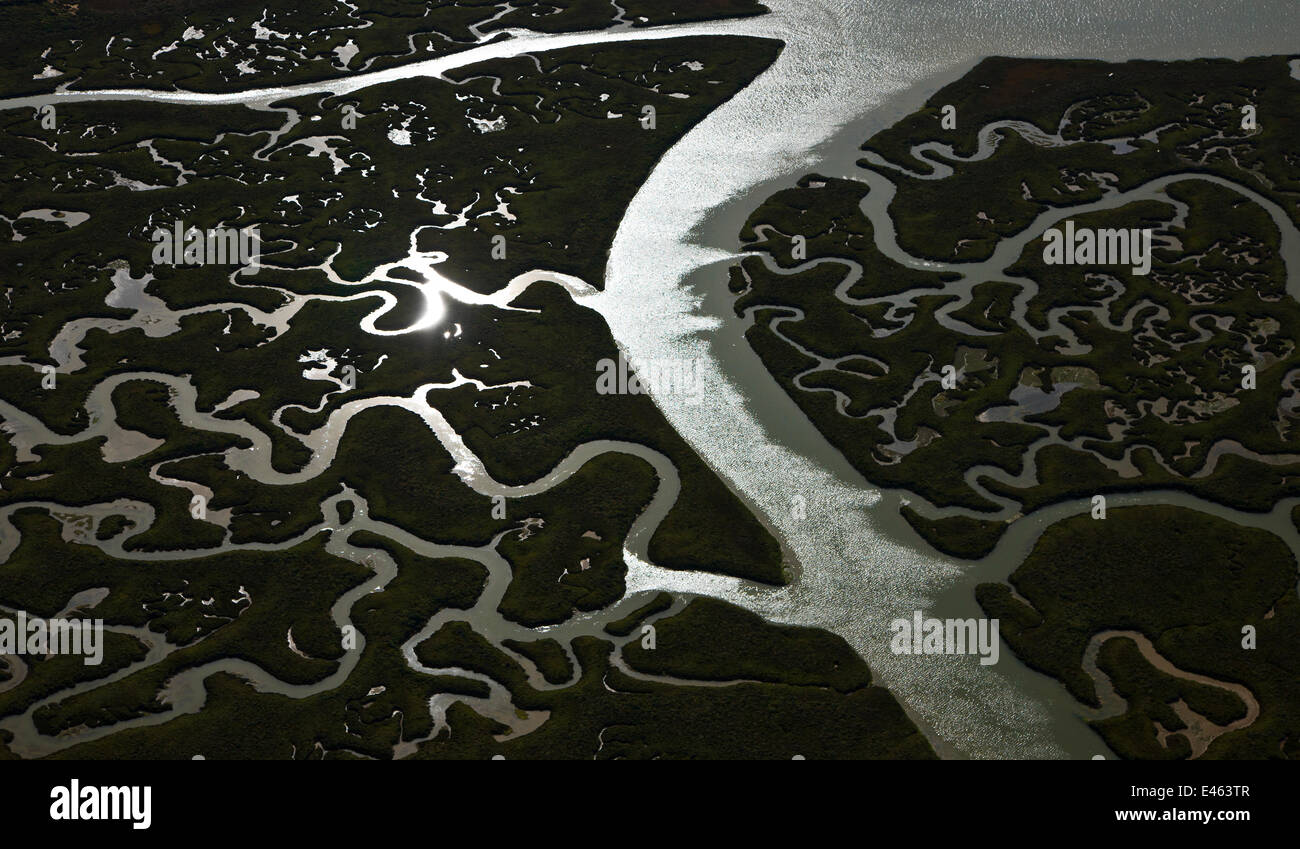 Odiel marshes huelva hi-res stock photography and images - Alamy