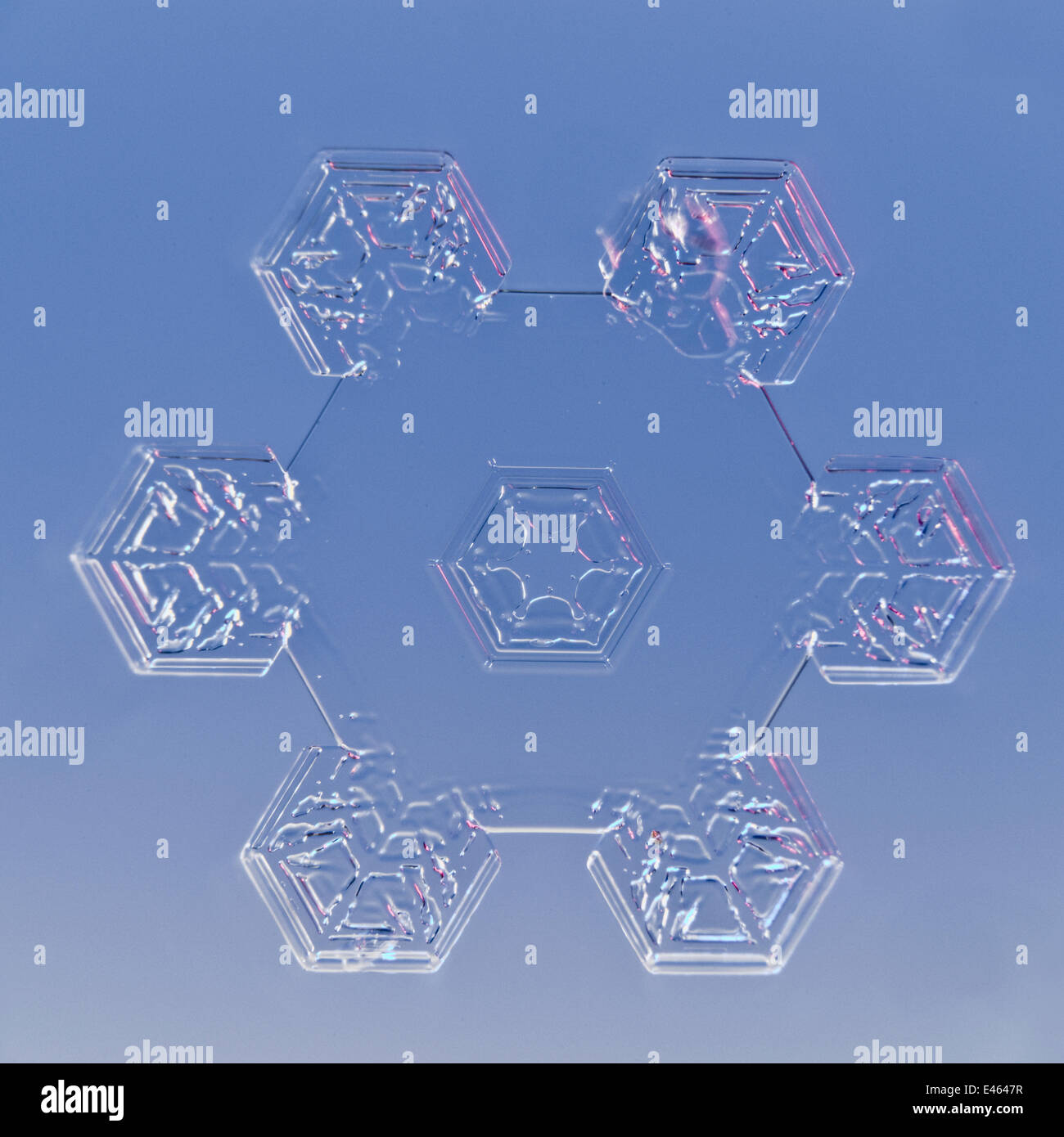 Snowflake magnified under microscope, Lilehammer, Norway Stock Photo ...