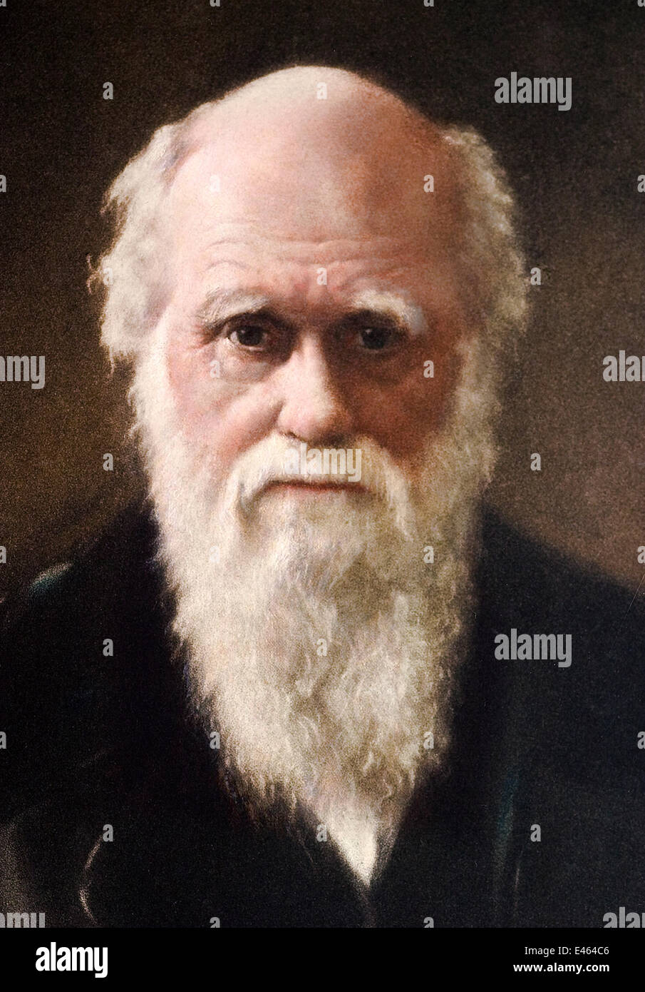 1881 Portrait Of Charles Robert Darwin 12 February 1809 19 April 1882 English Naturalist And