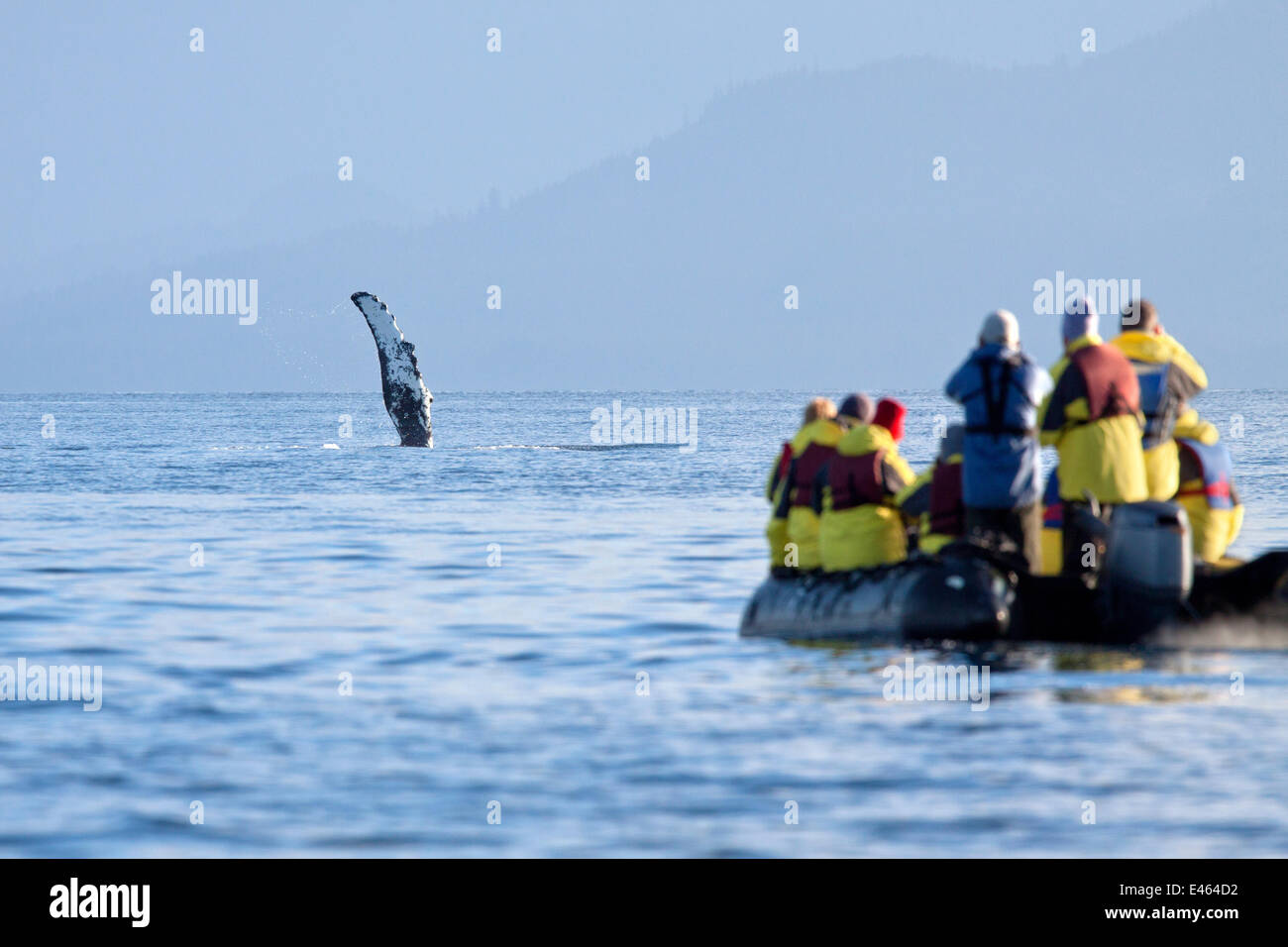Inflatable whale hi-res stock photography and images - Alamy