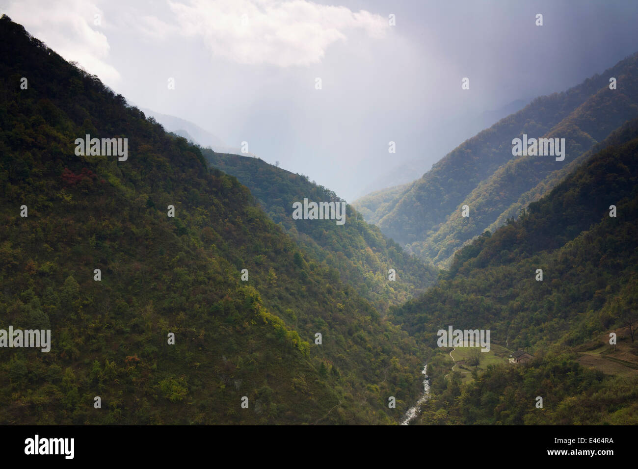 Fog over the steep slopes of a forested valley in Zhouzhi Nature ...