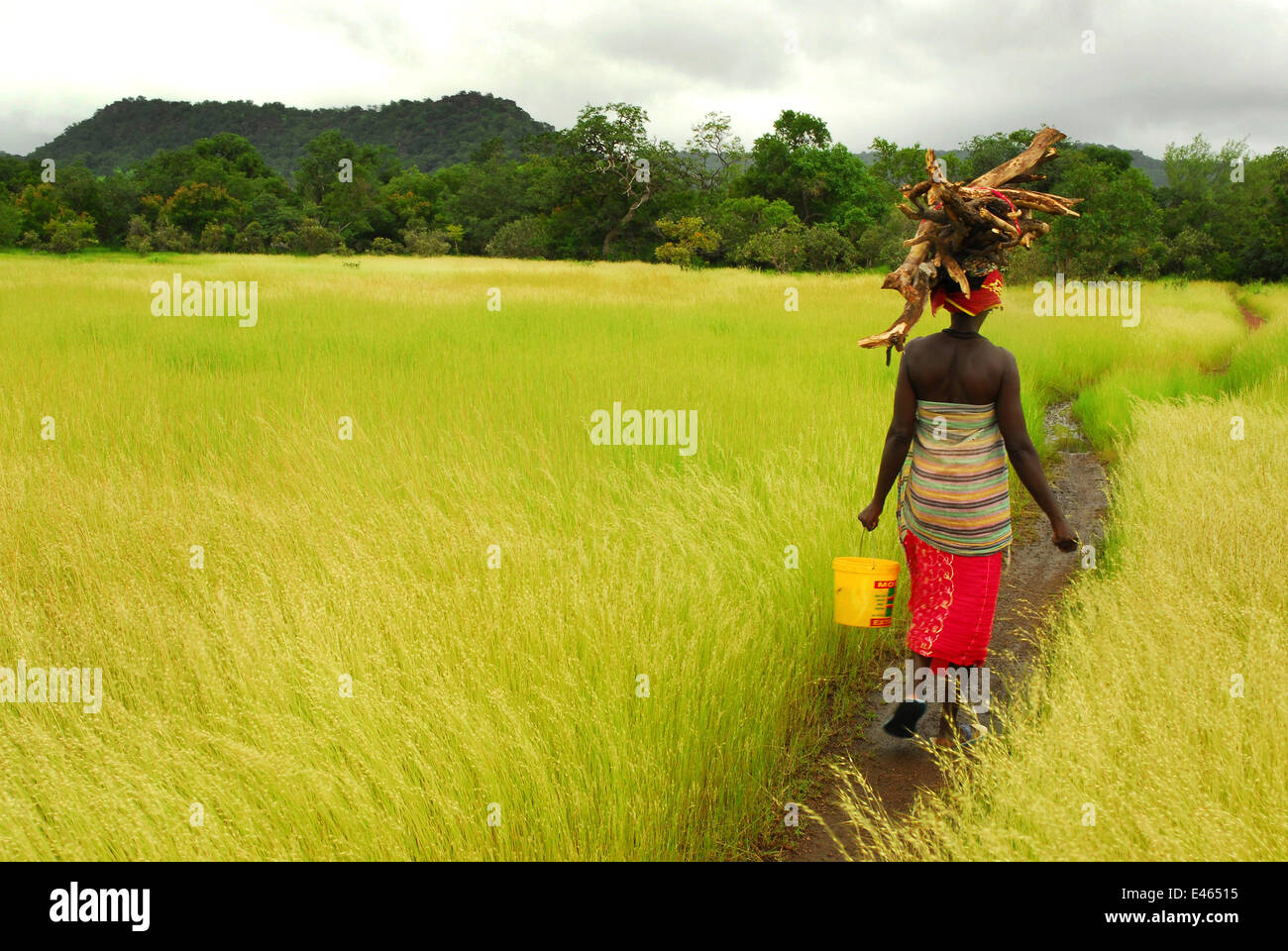 Bassari tribe hi-res stock photography and images - Alamy