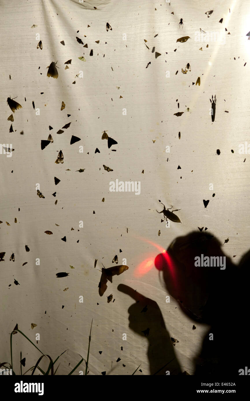 Insect trap scientist hi-res stock photography and images - Alamy